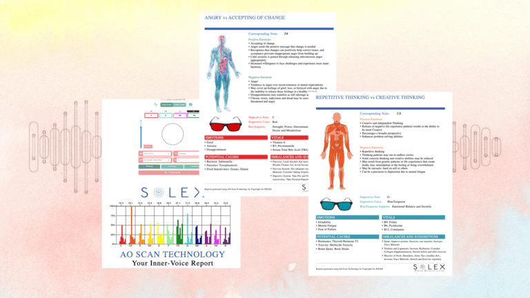 Inner Voice: How AO Scan Technology Helps You Balance Your Emotions - Whole Body & Sole